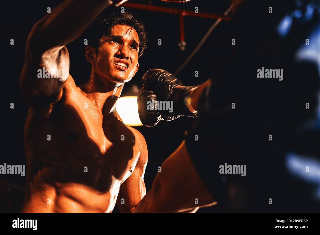 Asian Bodybuilder : Unleashing the Power Within